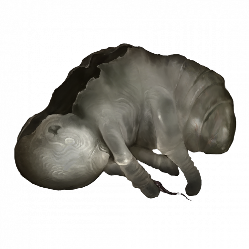 阿史米的蜕壳文本 - 艾尔登法环WIKI_BWIKI_哔哩哔哩