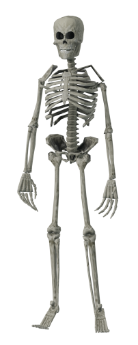 SCP-3114 - 新怪谈：秘密实验室WIKI_BWIKI_哔哩哔哩