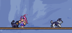 狗狗 - Terraria Wiki