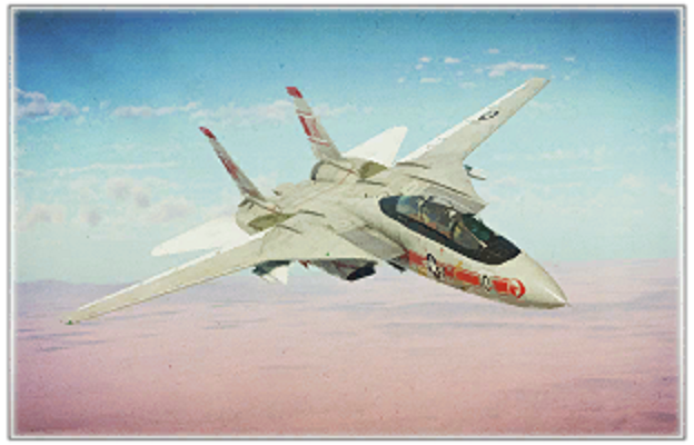 F-14A 早期型 - 战争雷霆WIKI_BWIKI_哔哩哔哩